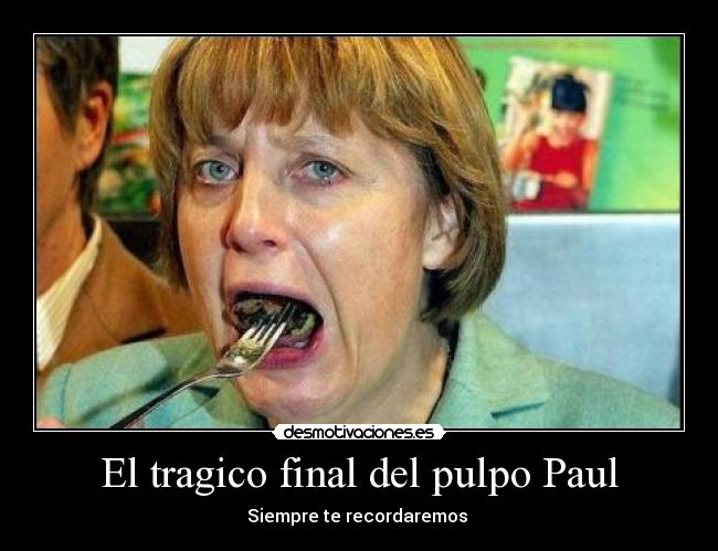 El tragico final del pulpo Paul | Desmotivaciones El tragico final del pulpo Paul | Desmotivaciones
