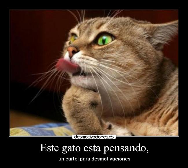 Este gato esta pensando, | Desmotivaciones