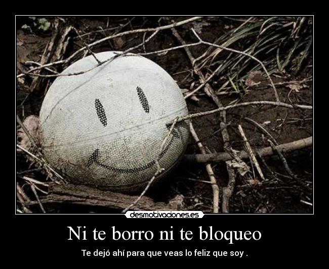 Ni Te Borro Ni Te Bloqueo Desmotivaciones