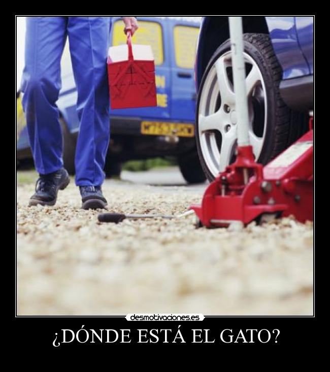 ¿DÓNDE ESTÁ EL GATO? | Desmotivaciones