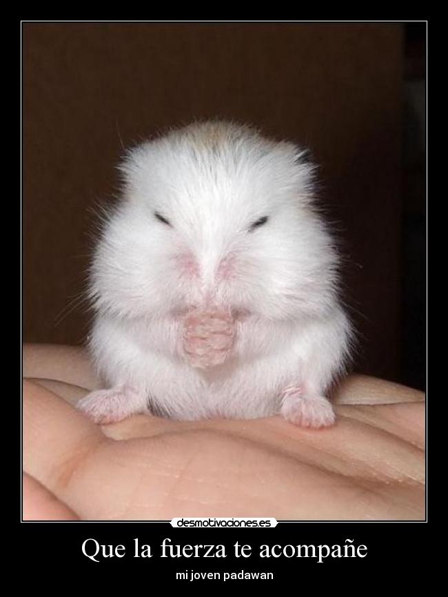 Que la fuerza te acompañe | Desmotivaciones