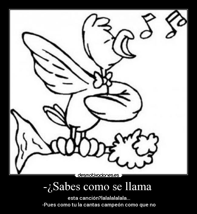  Sabes Como Se Llama Desmotivaciones