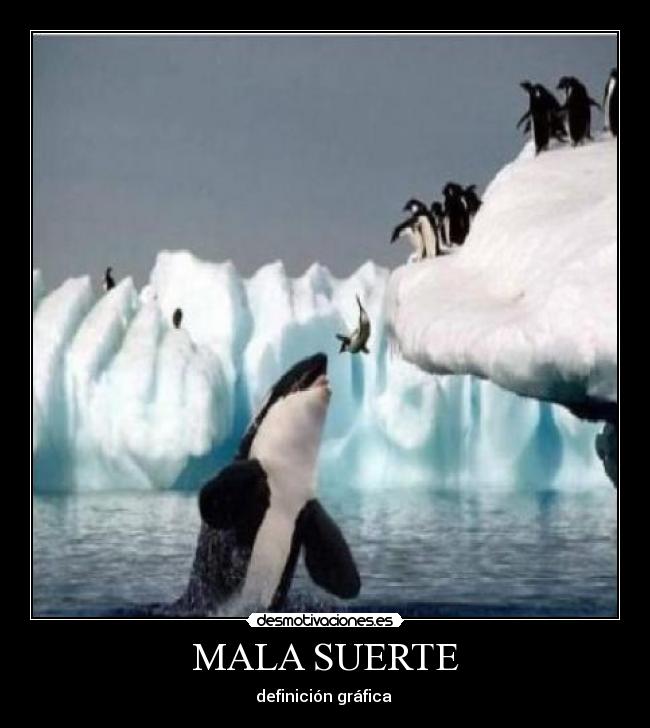 MALA SUERTE | Desmotivaciones