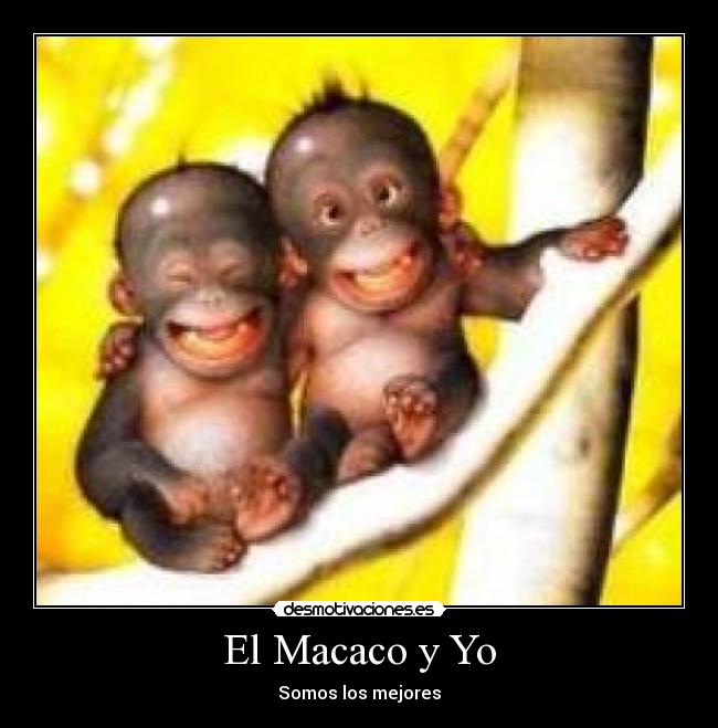 Usuario: SergiooH | Desmotivaciones