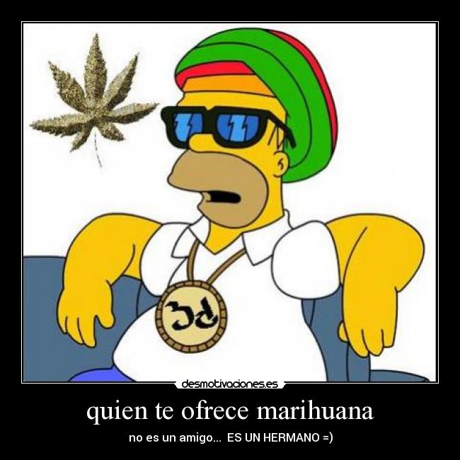 All Categories - centjacreditos