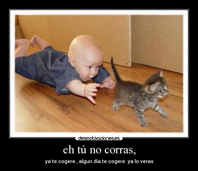Usuario Piro2 Desmotivaciones