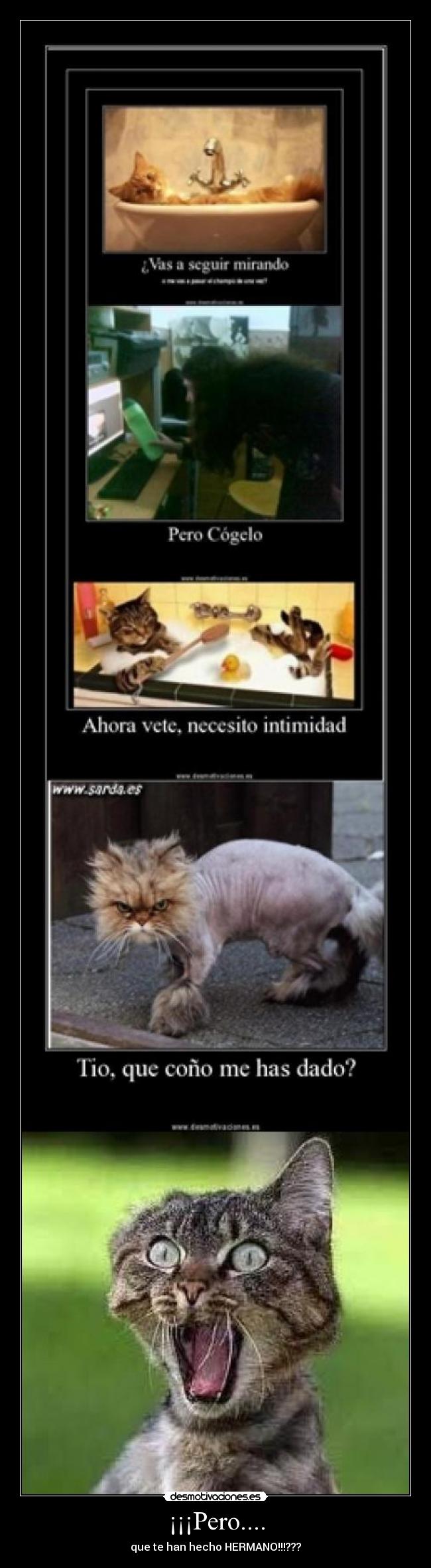 Pero.... | Desmotivaciones