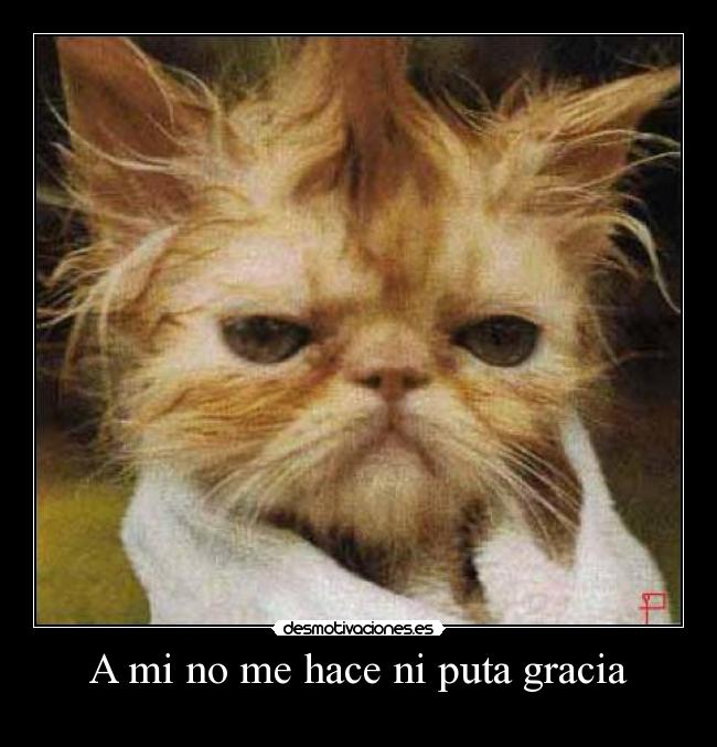 A Mi No Me Hace Ni Puta Gracia Desmotivaciones