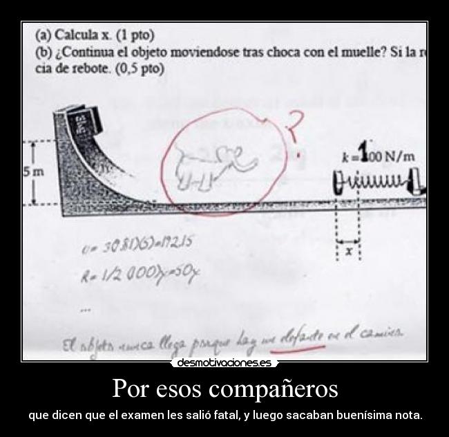 Por esos compañeros | Desmotivaciones