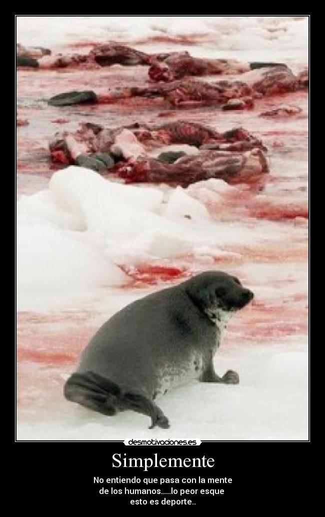 Imágenes y Carteles de FOCA Pag. 14 | Desmotivaciones