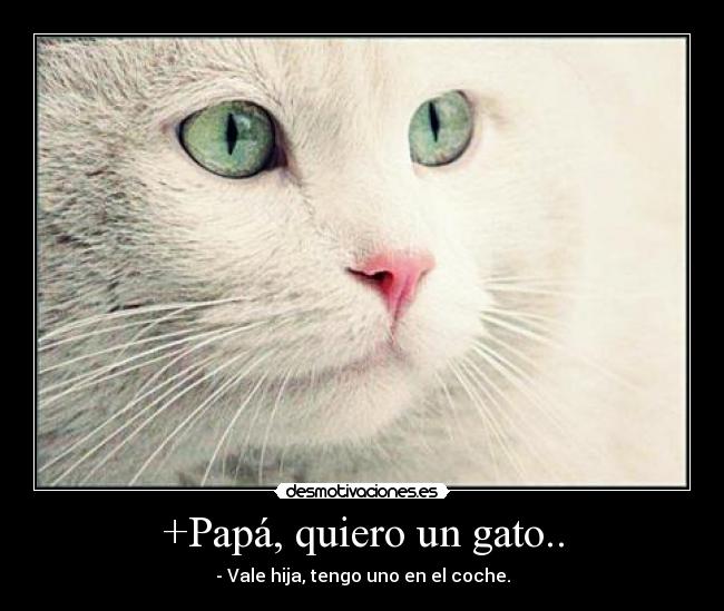 +Papá, quiero un gato.. | Desmotivaciones