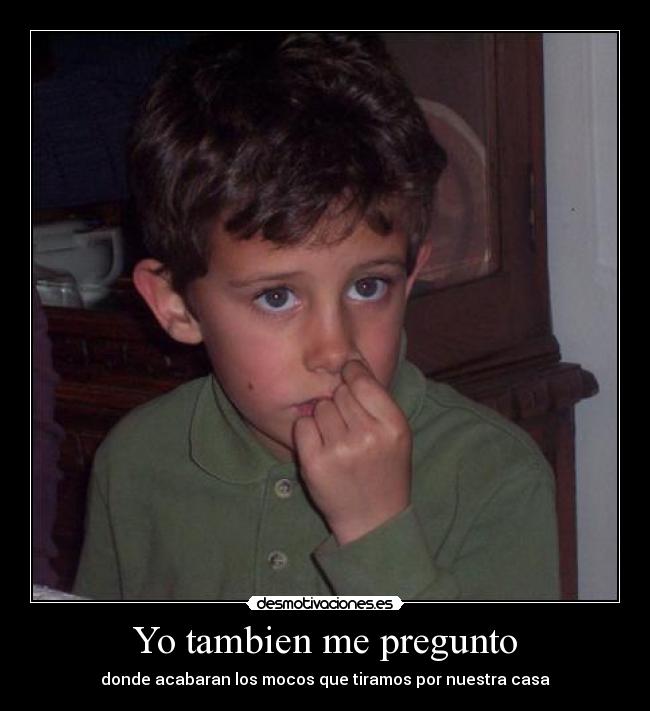 Yo Tambien Me Pregunto Desmotivaciones