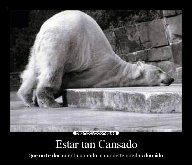 Estar tan Cansado | Desmotivaciones