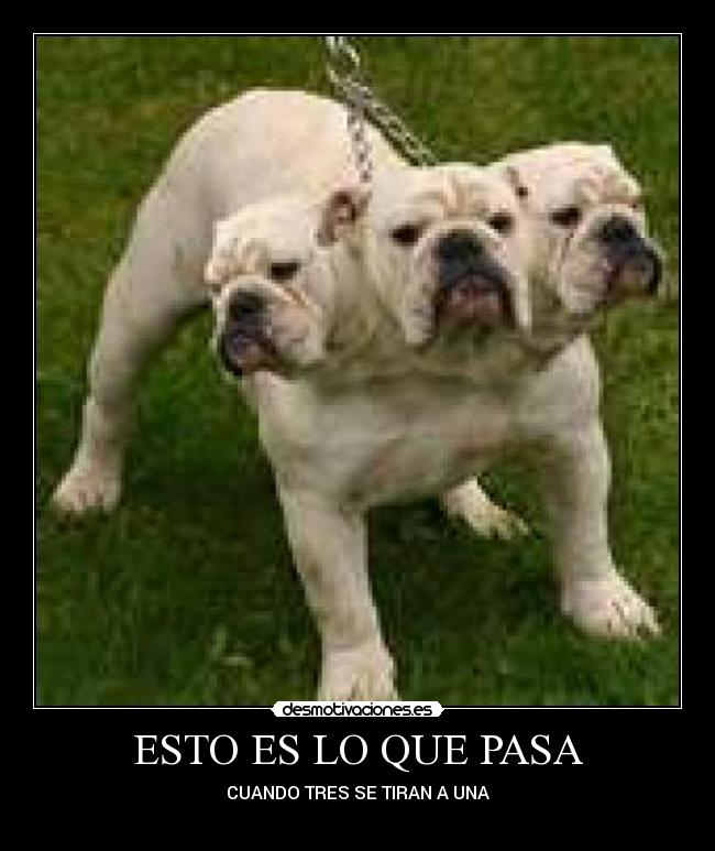 Esto Es Lo Que Pasa Desmotivaciones