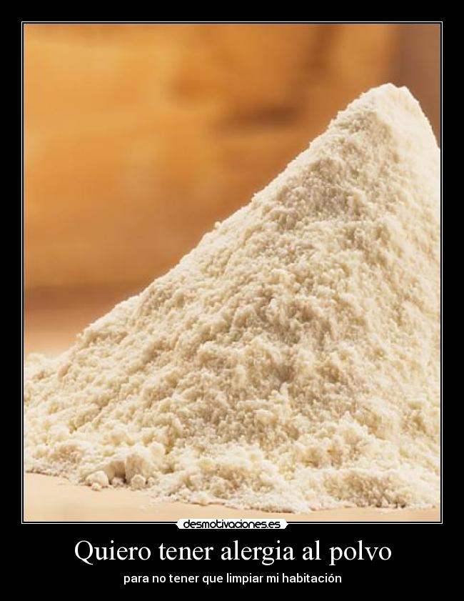 Quiero Tener Alergia Al Polvo Desmotivaciones
