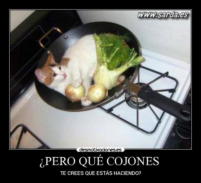 ¿PERO QUÉ COJONES | Desmotivaciones