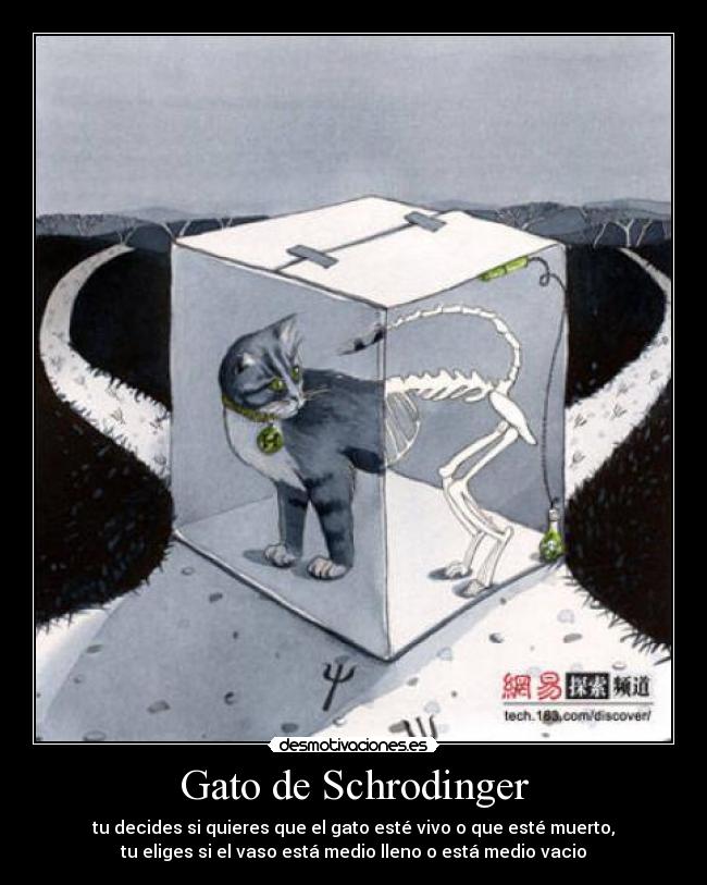 Gato de Schrodinger | Desmotivaciones