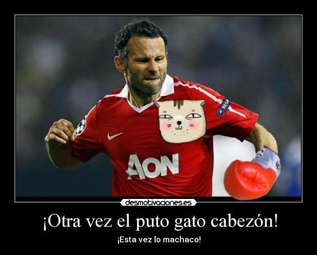 ¡Otra vez el puto gato cabezón! | Desmotivaciones