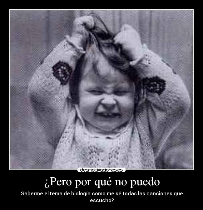 Pero Por Qu No Puedo Desmotivaciones pero-por-qu-no-puedo-desmotivaciones