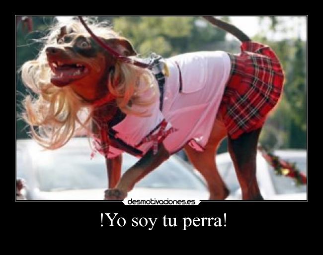 !Yo soy tu perra! | Desmotivaciones