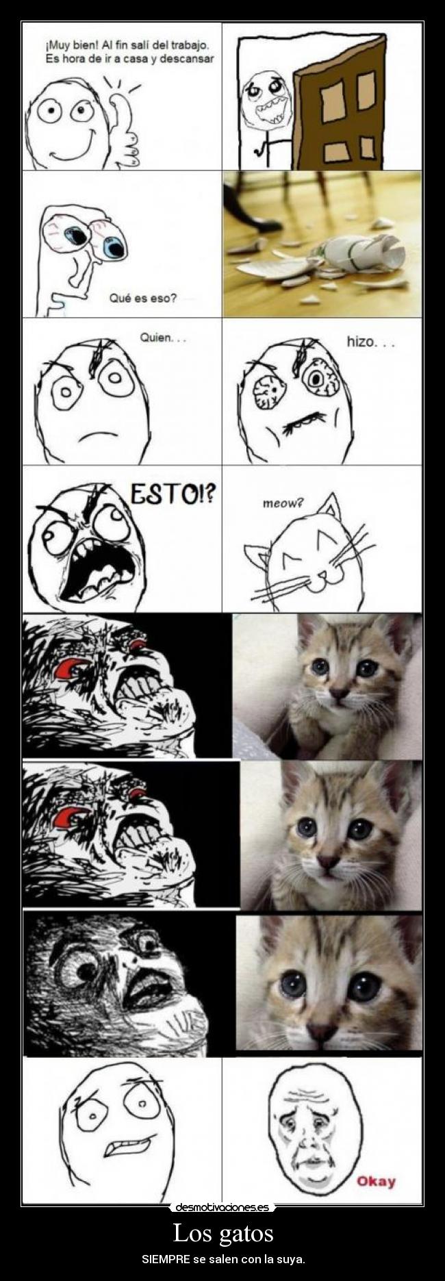 Los gatos | Desmotivaciones