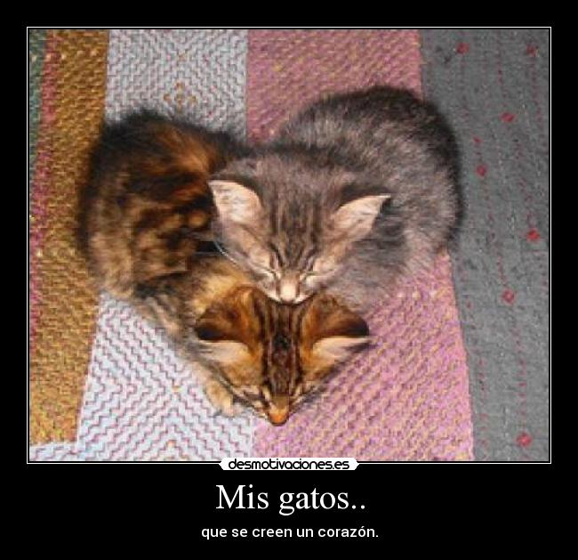 Mis gatos.. | Desmotivaciones