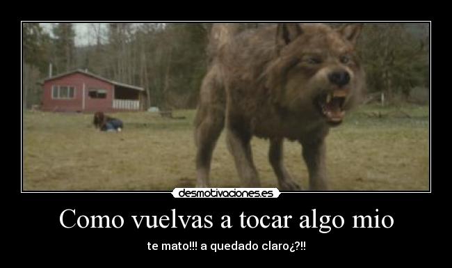 Como Vuelvas A Tocar Algo Mio Desmotivaciones