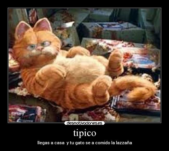 Imágenes y Carteles de GATU | Desmotivaciones