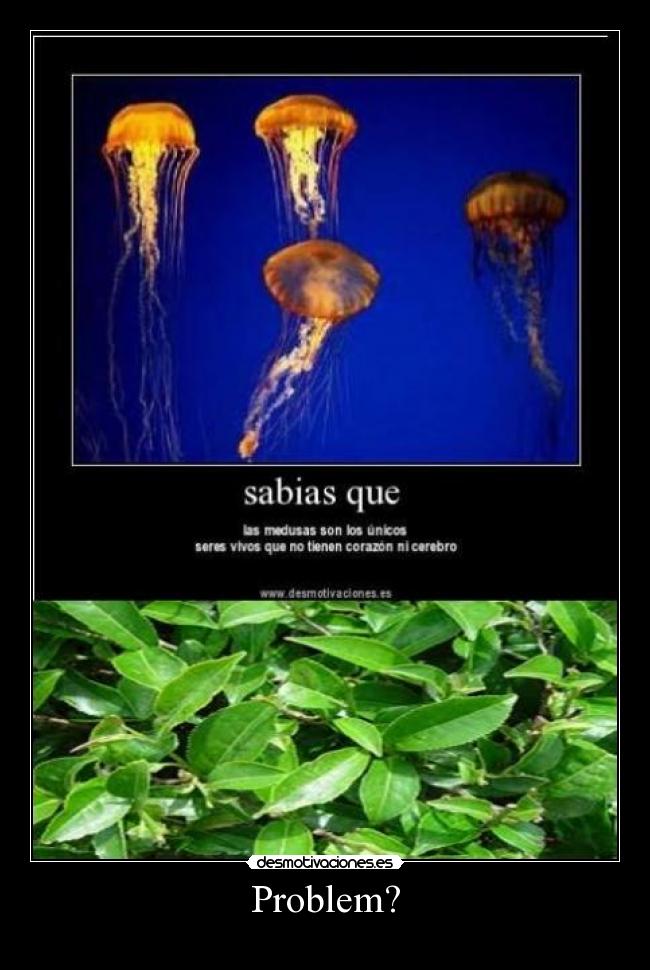 Problem Desmotivaciones problem-desmotivaciones