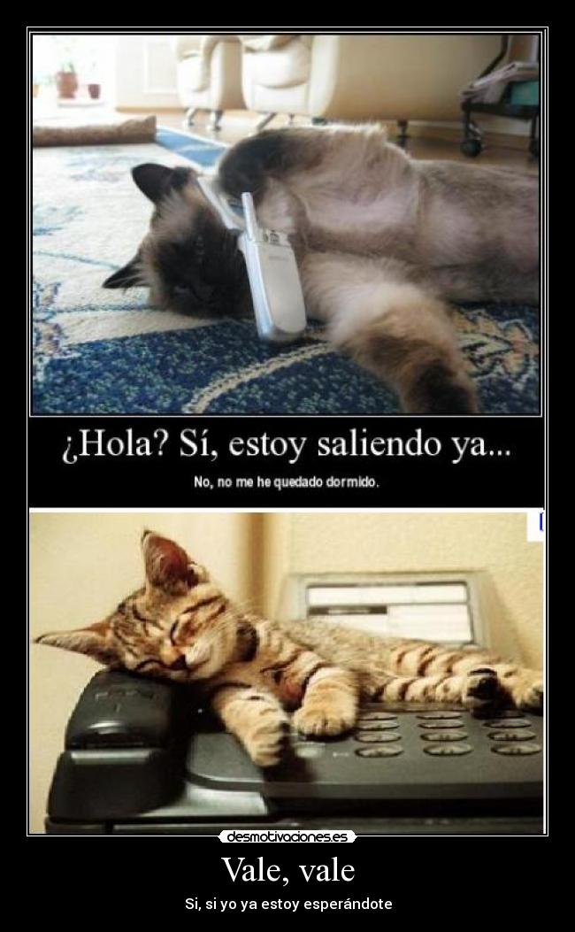 Imágenes Y Carteles De Esperando Pag 88 Desmotivaciones