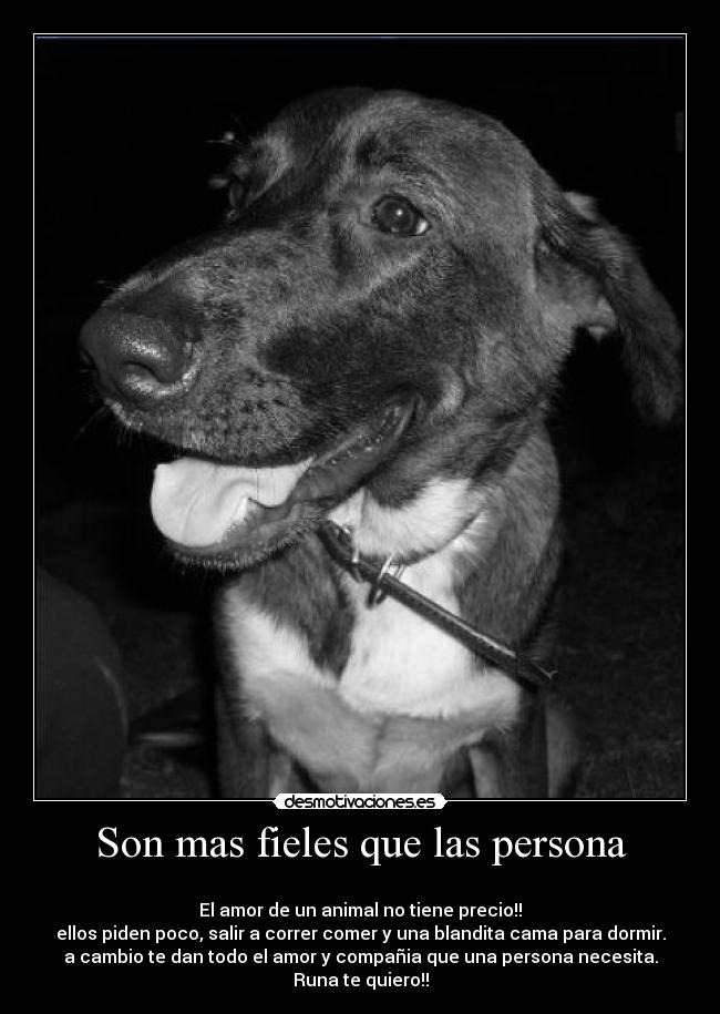 Imágenes Y Carteles De Perra Pag 12 Desmotivaciones