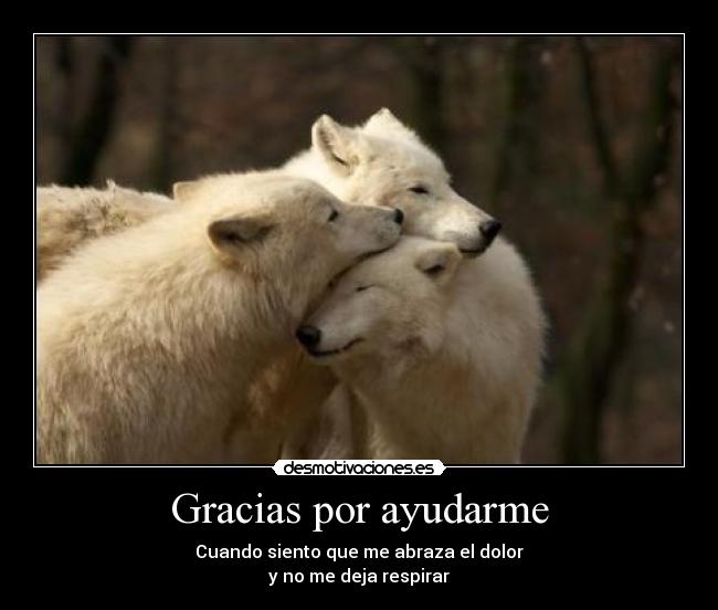 Gracias por ayudarme | Desmotivaciones