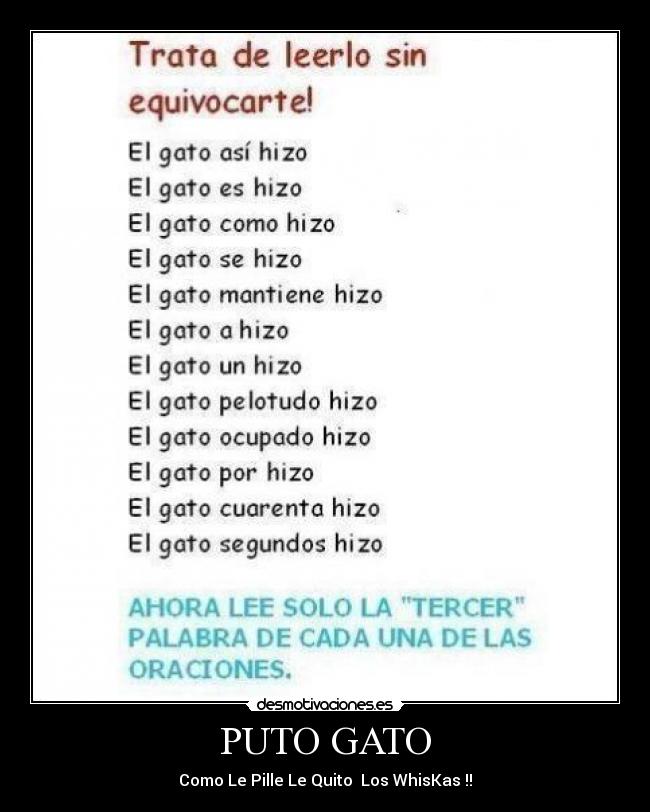 PUTO GATO | Desmotivaciones
