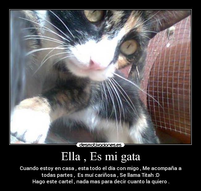 Ella , Es mi gata | Desmotivaciones