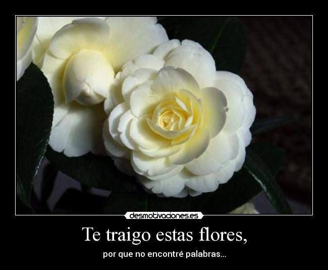 Te Traigo Estas Flores Desmotivaciones