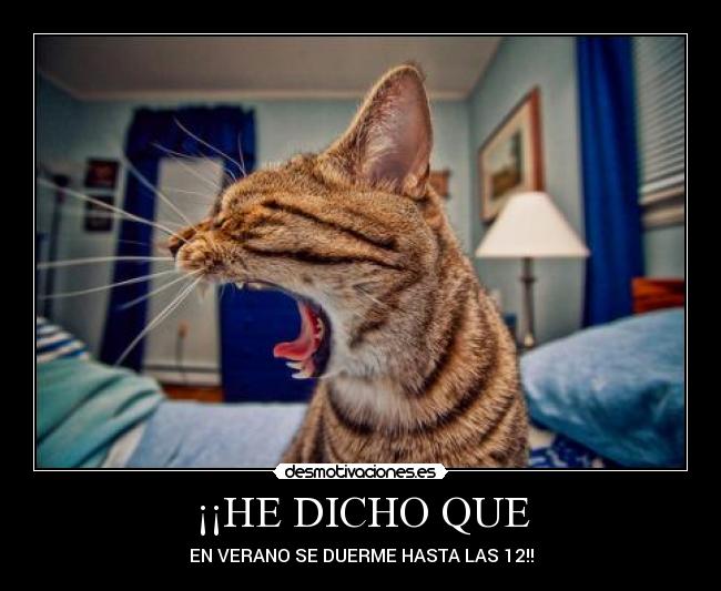 Imágenes Y Carteles De Gritando Pag 4 Desmotivaciones
