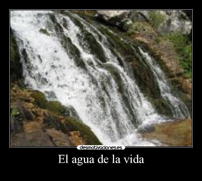 El agua de la vida | Desmotivaciones
