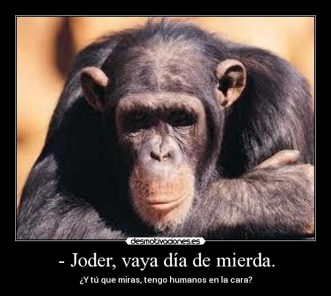 Joder Vaya Día De Mierda Desmotivaciones