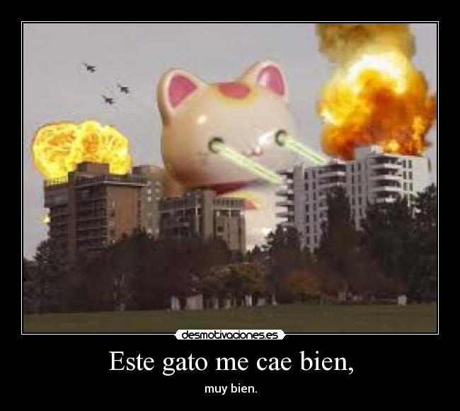 Este gato me cae bien, | Desmotivaciones