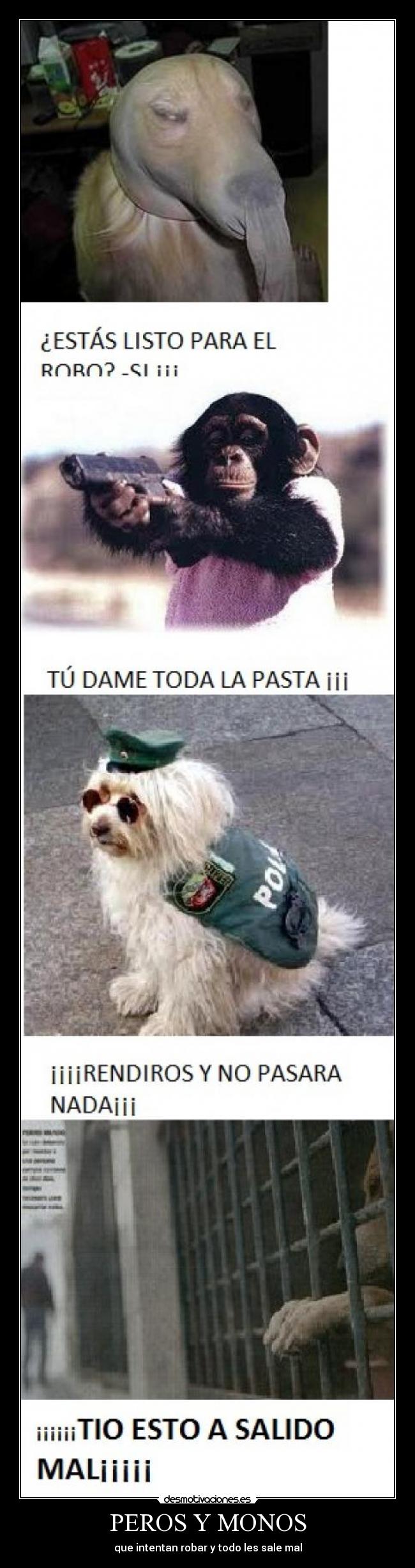 PEROS Y MONOS | Desmotivaciones