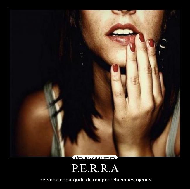 P.E.R.R.A | Desmotivaciones