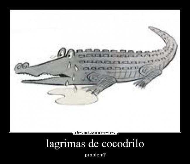 lagrimas de cocodrilo | Desmotivaciones