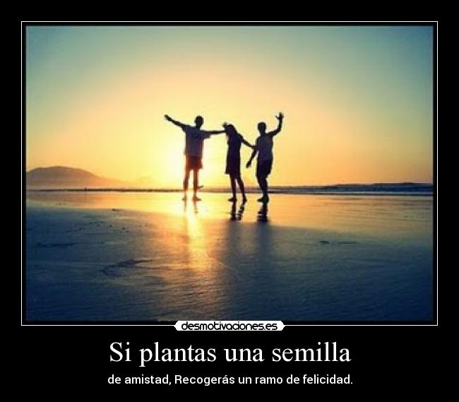 Si plantas una semilla | Desmotivaciones