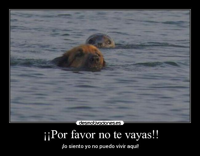 Imágenes y Carteles de FAVOR Pag. 11 | Desmotivaciones