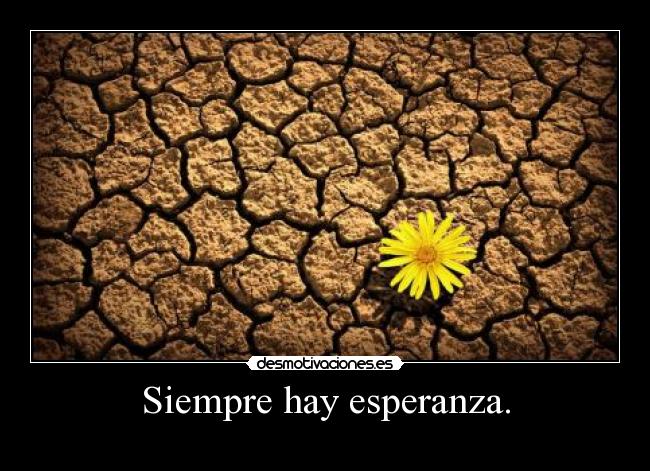 Siempre hay esperanza. | Desmotivaciones