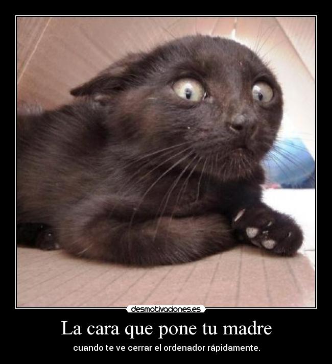 La Cara Que Pone Tu Madre Desmotivaciones