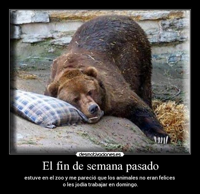 El fin de semana pasado | Desmotivaciones