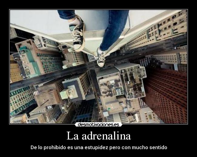 La adrenalina | Desmotivaciones