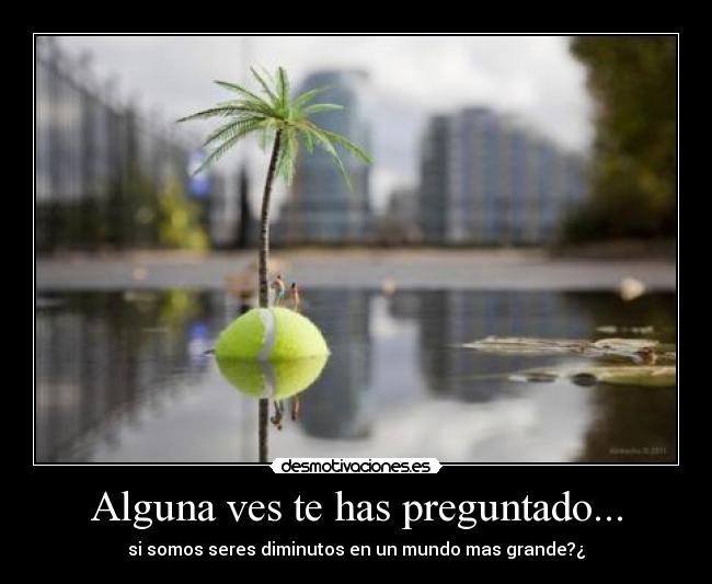 Alguna ves te has preguntado... | Desmotivaciones