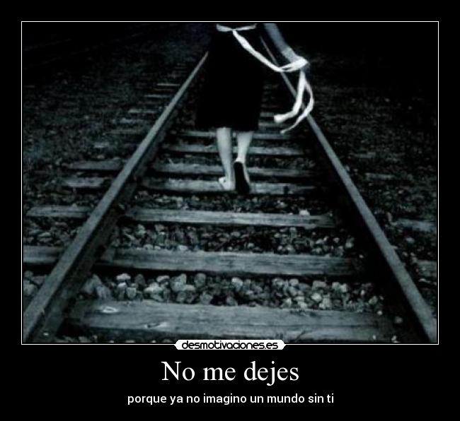 Usuario: perrovagabundo | Desmotivaciones